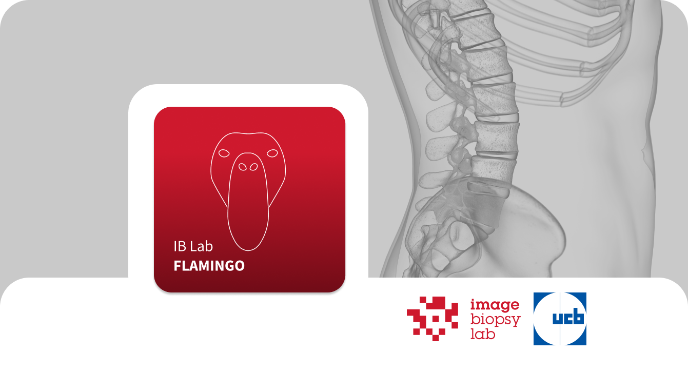 ImageBiopsy Lab launches IB Lab FLAMINGO | Healthcare AI